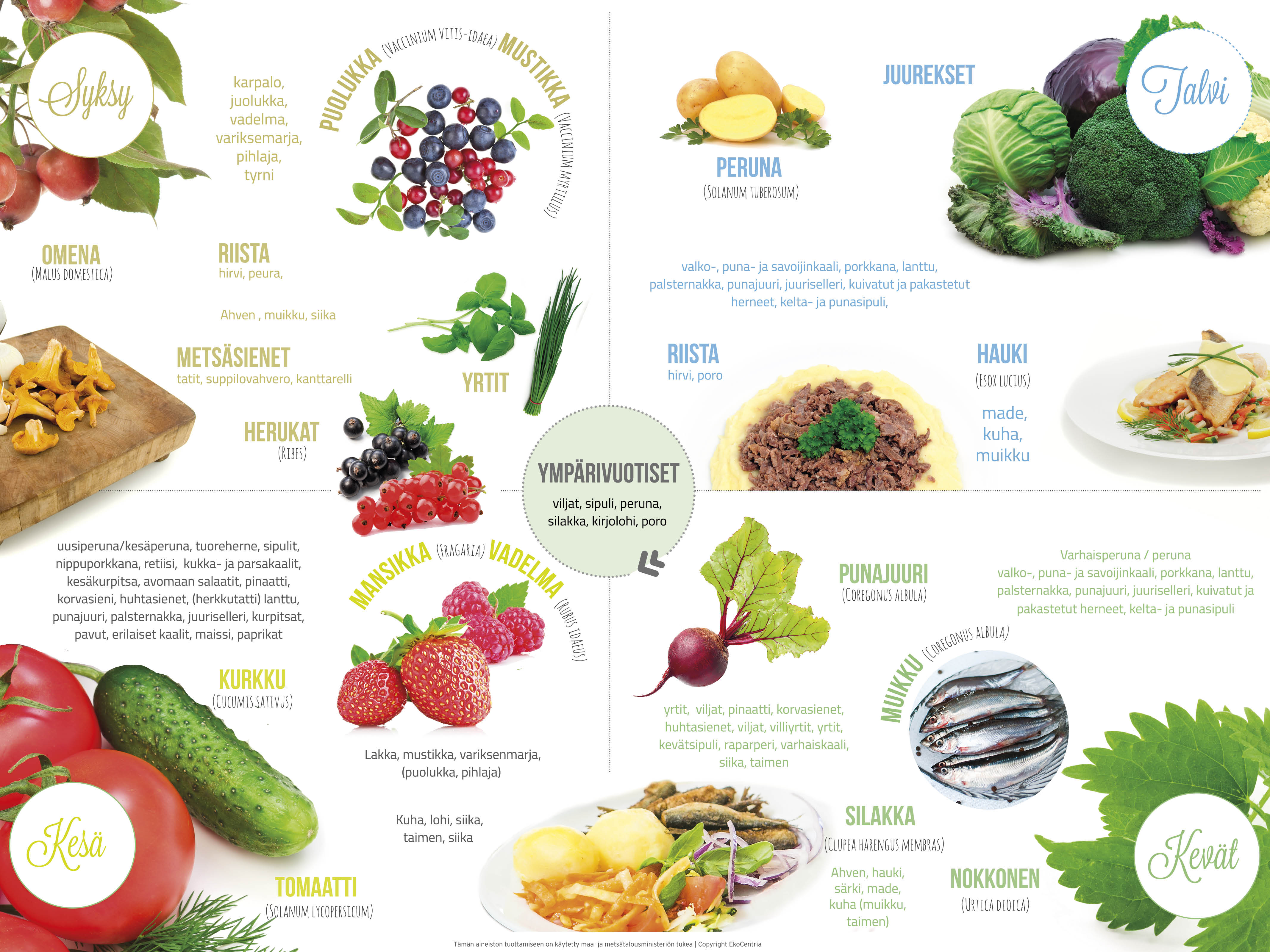 Sesongit - Ekoruokakone